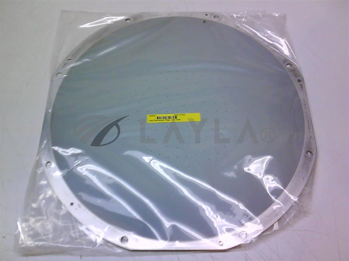 1000000010_102832 GAS DISTRIBUTION PLATE, 133 HOLES 0020-31493 Other ...