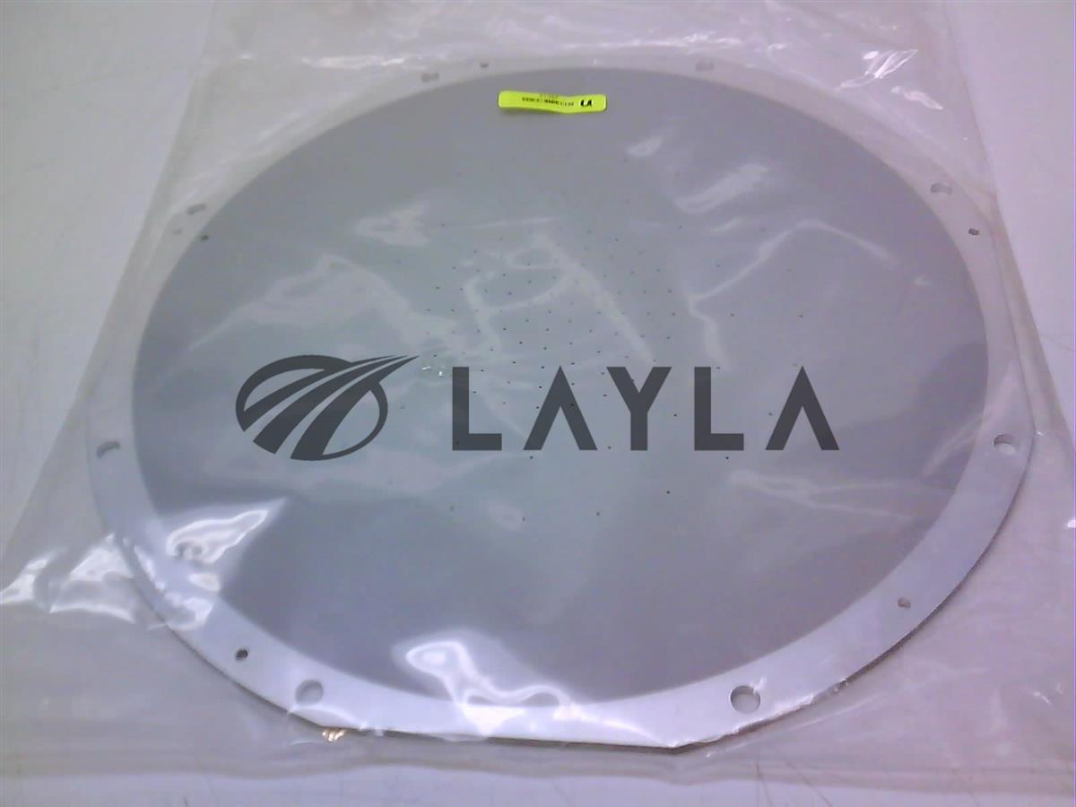 1000000010_51397 GAS DIST PLATE,119 HOLES .156 THICK 0020-31801 Other ...