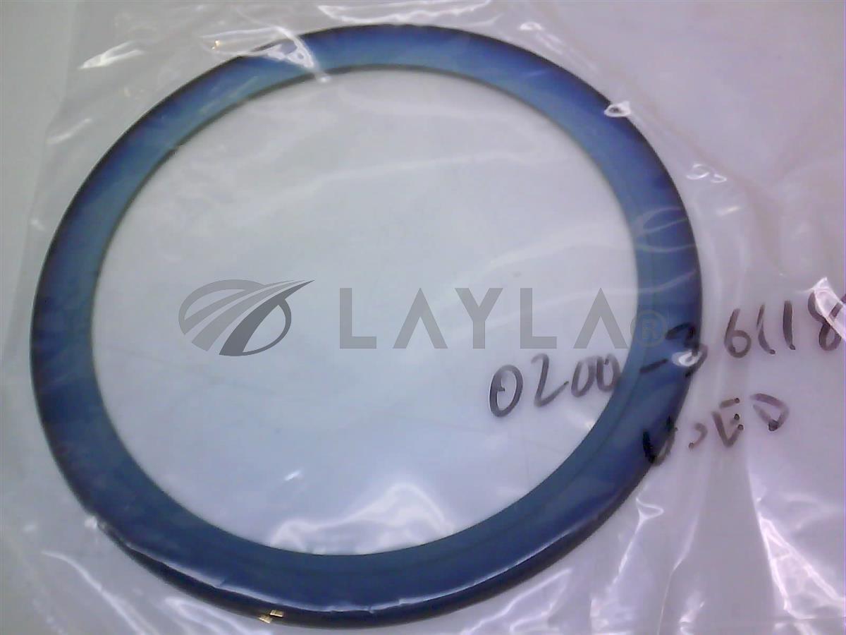 1000000010_69394 BATCH EDGE RING, 200MM WAFER, SILICON CO 0200-36118 ...