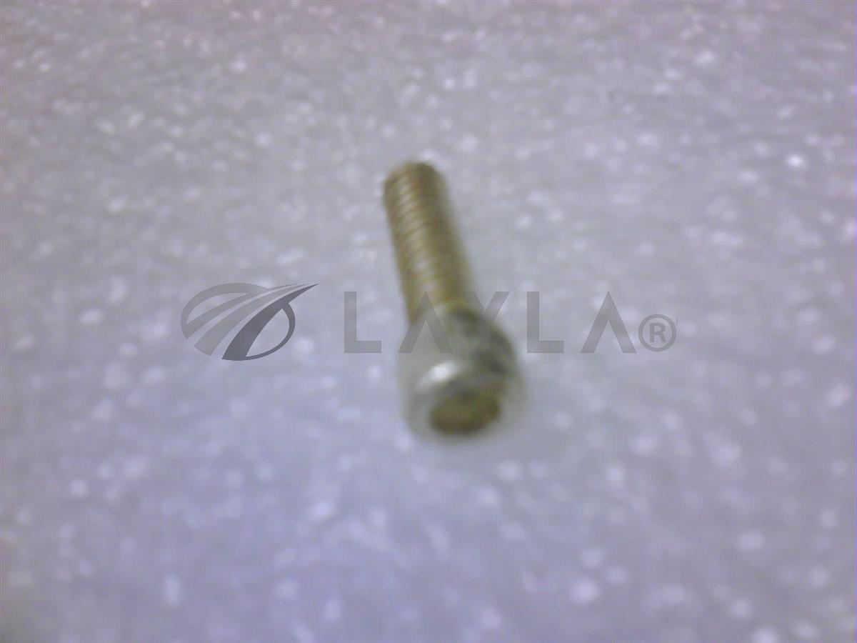 1000000010_87806 SCR CAP SKT HD 1/4-20 7/8L HEX SKT SST SLVR-PLT 3690 ...