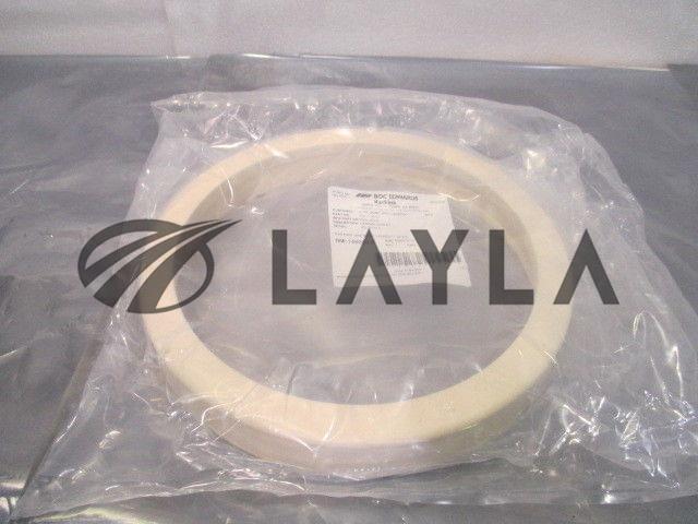 1000000013_173058585581 AMAT 0200-36105 Ceramic Chamber Insert, 200mm ...