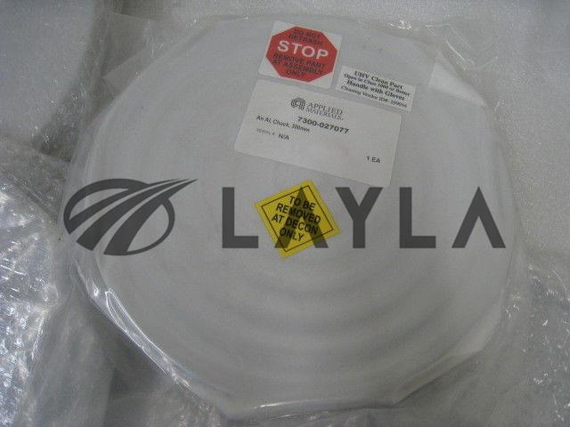 1000000013_400289164993 AMAT 7300-027077 Chuck, 300mm, An AI, 400558 ...