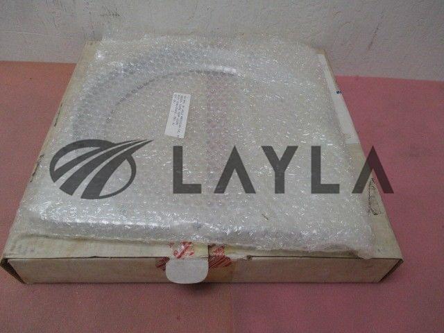 1000000013_400717211843 AMAT 0020-30602 pumping plate, 200mm shadow ...