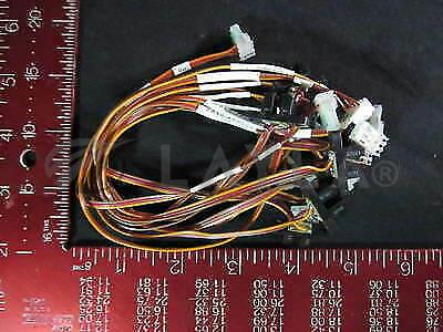 1000000018_154049044929 RECIF IDLW DISPLAY KIT, CARRIER RESTING PLANE ...