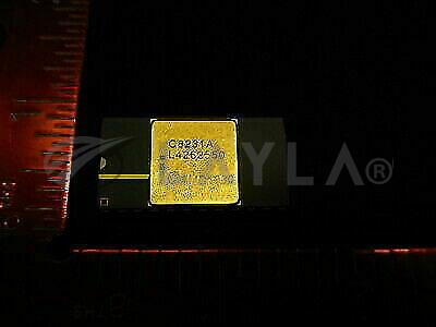 1000000018_184409469178 AMD C8231A AMD IC ALU 500-900809-00 C8231A Other Other | LAYLA 半導体製造装置 ...