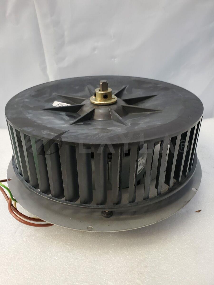 1000000208_115446595612 HEPA MOTOR T561CP T561CP - Motor Motor | LAYLA ...